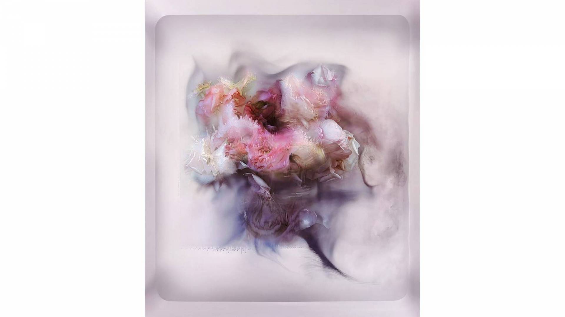 Gris Dior X Nick Knight الفن ودار Dior | Laha Magazine